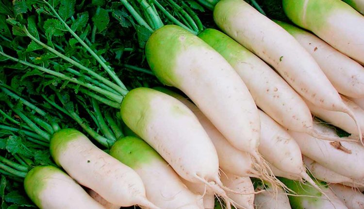O que é nabo – para que serve e por que não deixar faltar na sua cozinha