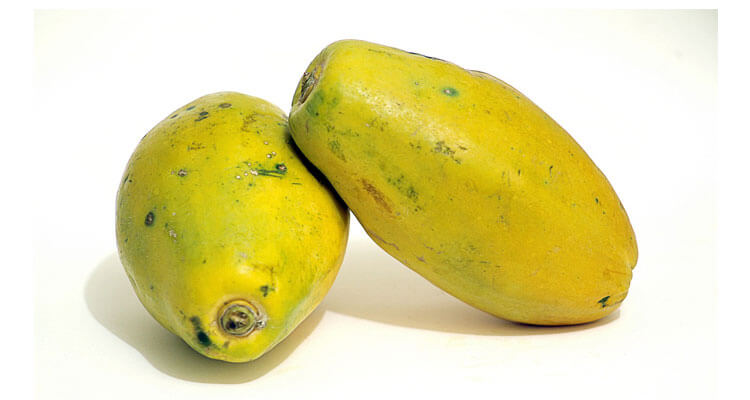 Mamão emagrece mesmo? Tire todas as suas dúvidas sobre a fruta