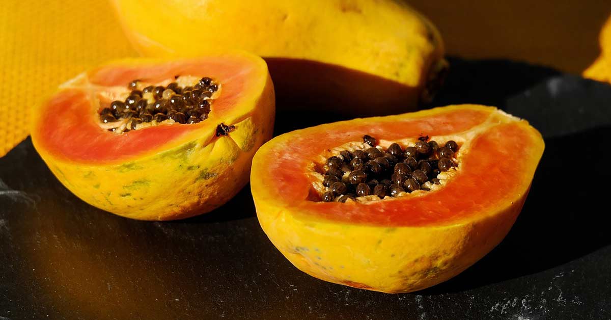 Mamão emagrece mesmo? Tire todas as suas dúvidas sobre a fruta